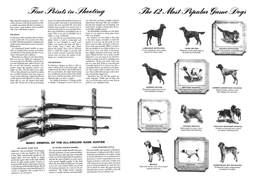 The 12 Most Popular Game Dogs | Esquire | OCTOBER, 1948