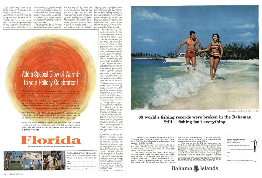 Bahamas Ministry of Tourism | Esquire | DECEMBER 1966