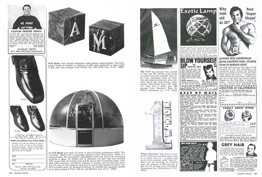 Advertisements | Esquire | AUGUST 1973
