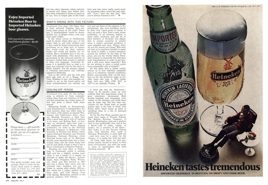 S.m.d. Co.: Heineken Beer | Esquire | JULY 1974