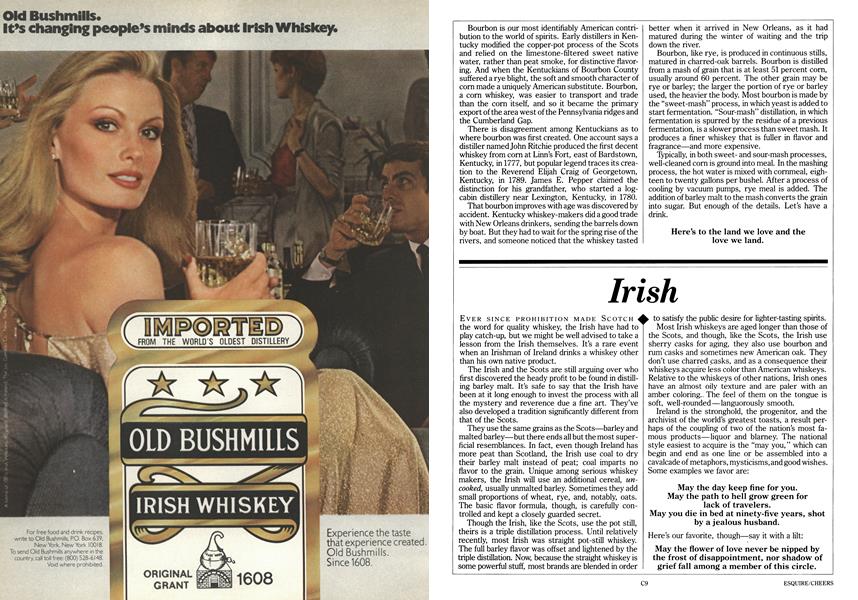 Irish | Esquire | DECEMBER 1981
