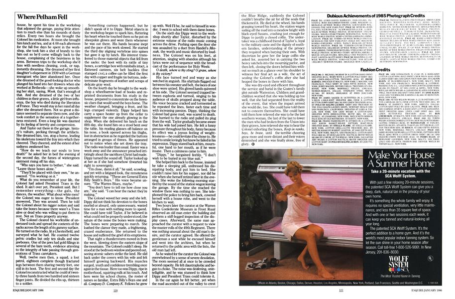 Wolff System | Esquire | JANUARY 1986