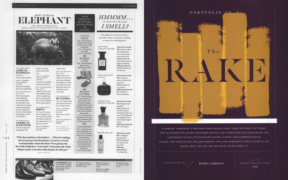 The Rake | Esquire | 2011 FALL / WINTER